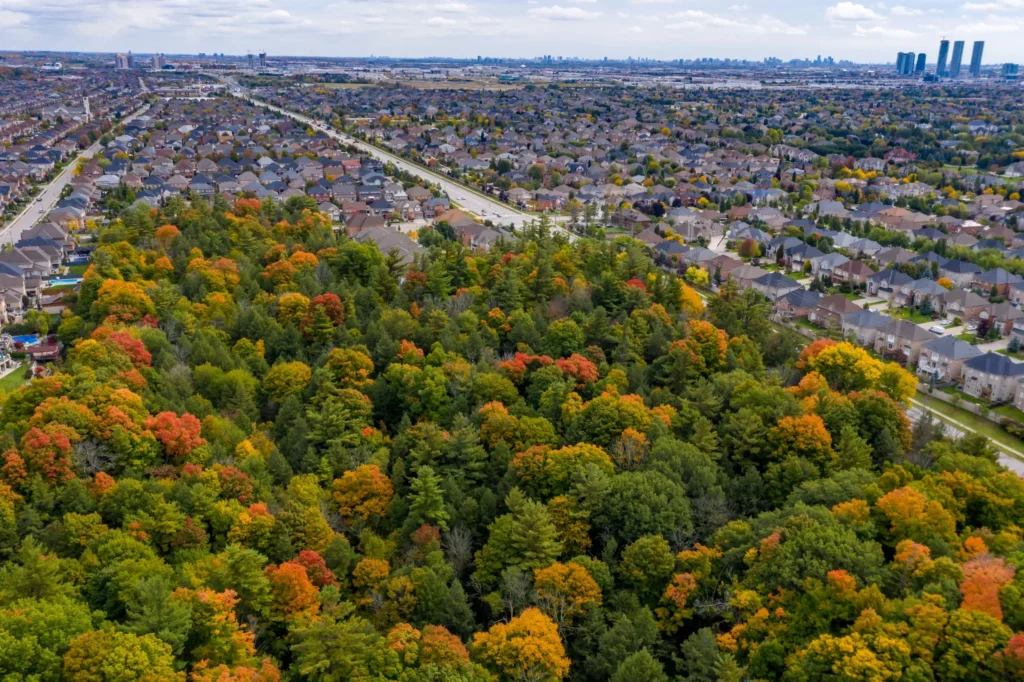 York Region Moving - Top Town Movers Canada